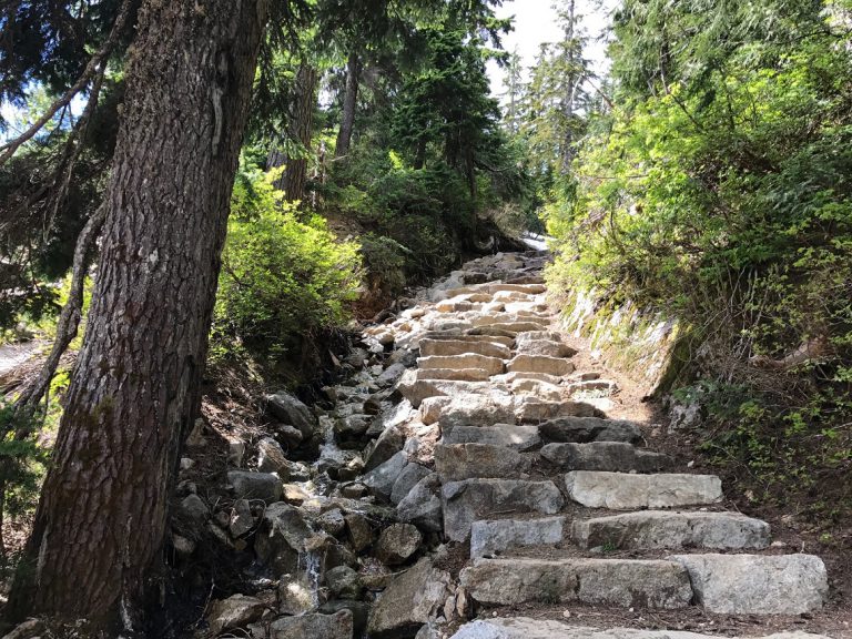 Hiking in Vancouver: A Snowy Summer Trail to Eagle Bluffs | Modern Mix ...