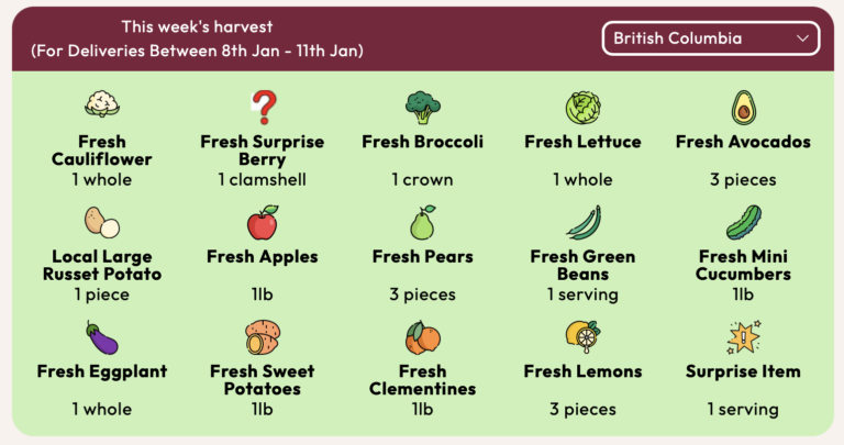 Odd Bunch Canada Review & Discount Code (“MODERNMIX20”) | Modern Mix ...